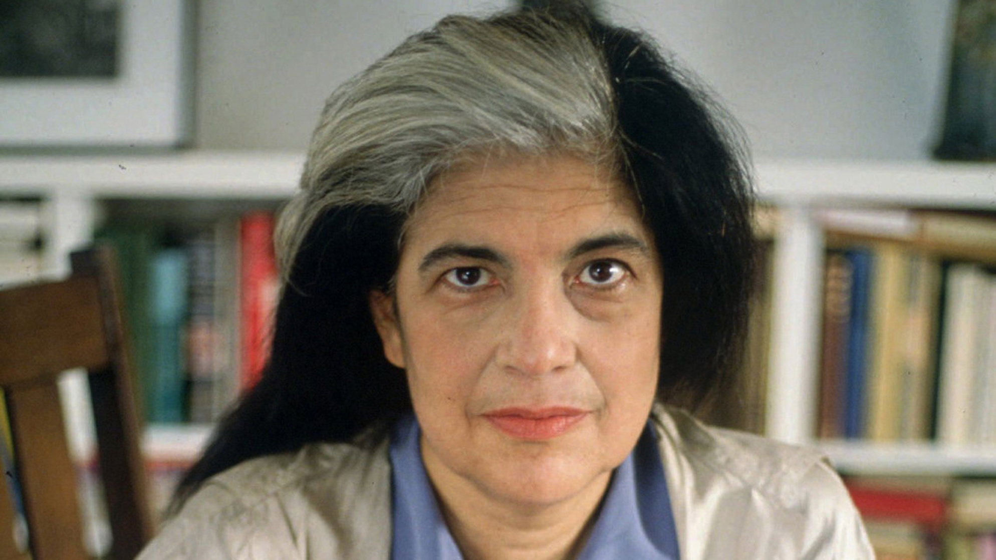 Susan Sontag picture