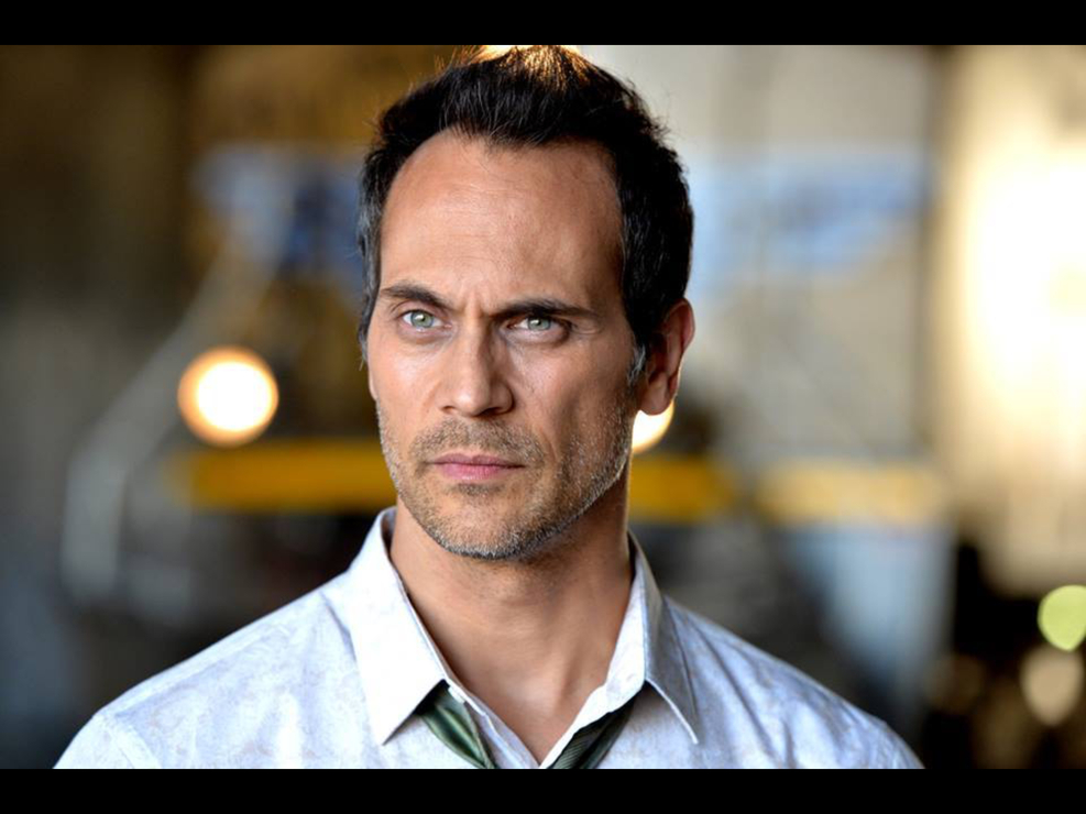 Picture of Todd Stashwick