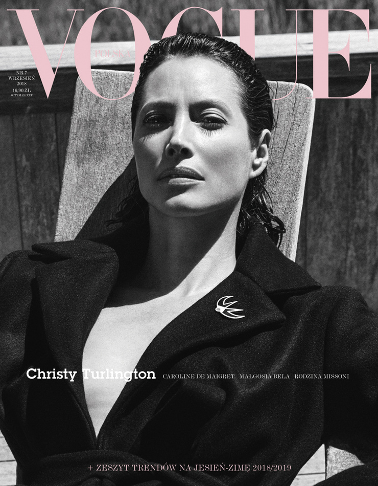 Picture of Christy Turlington
