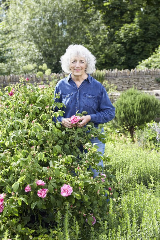 Picture of Judith Hann