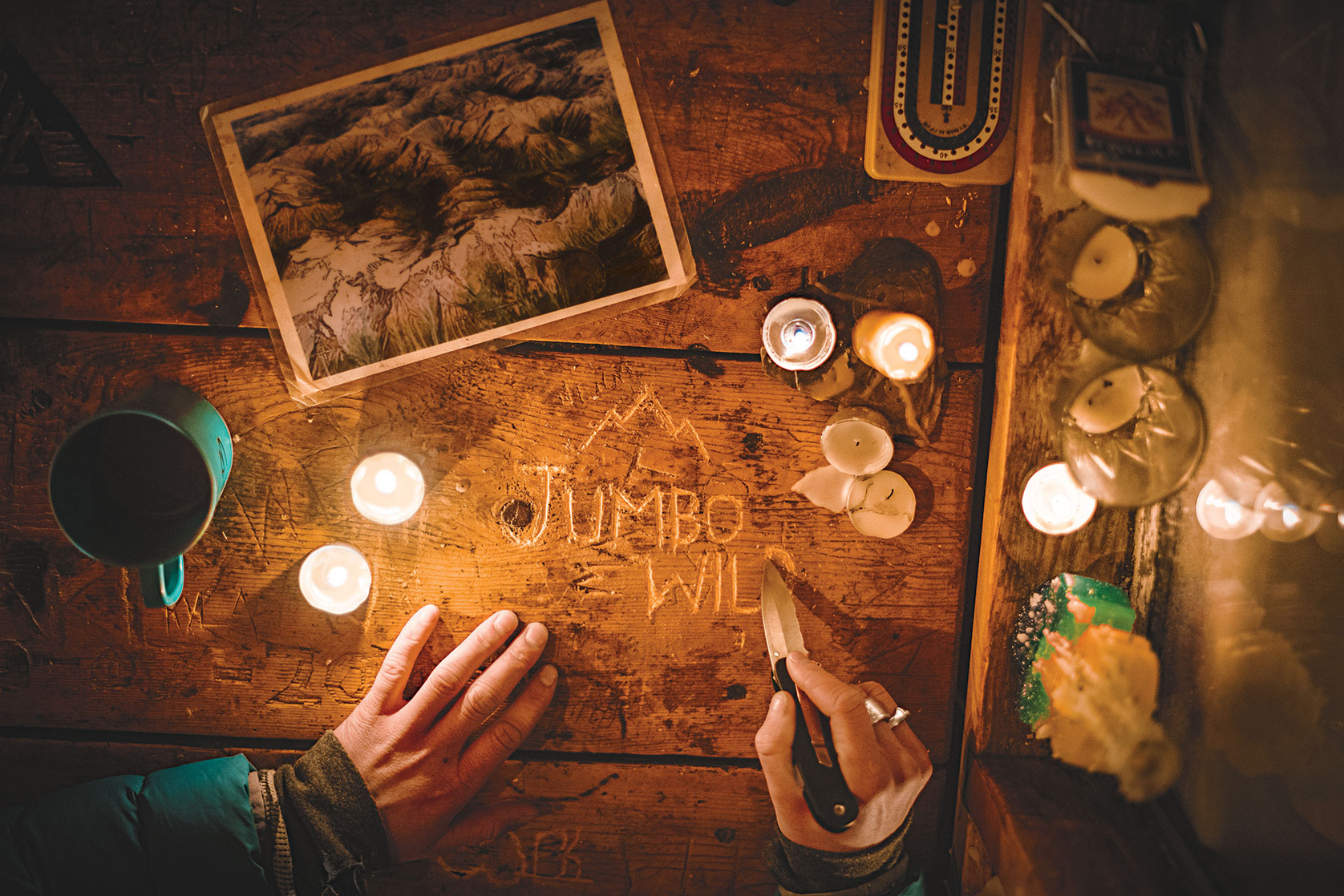 Picture of Jumbo Wild