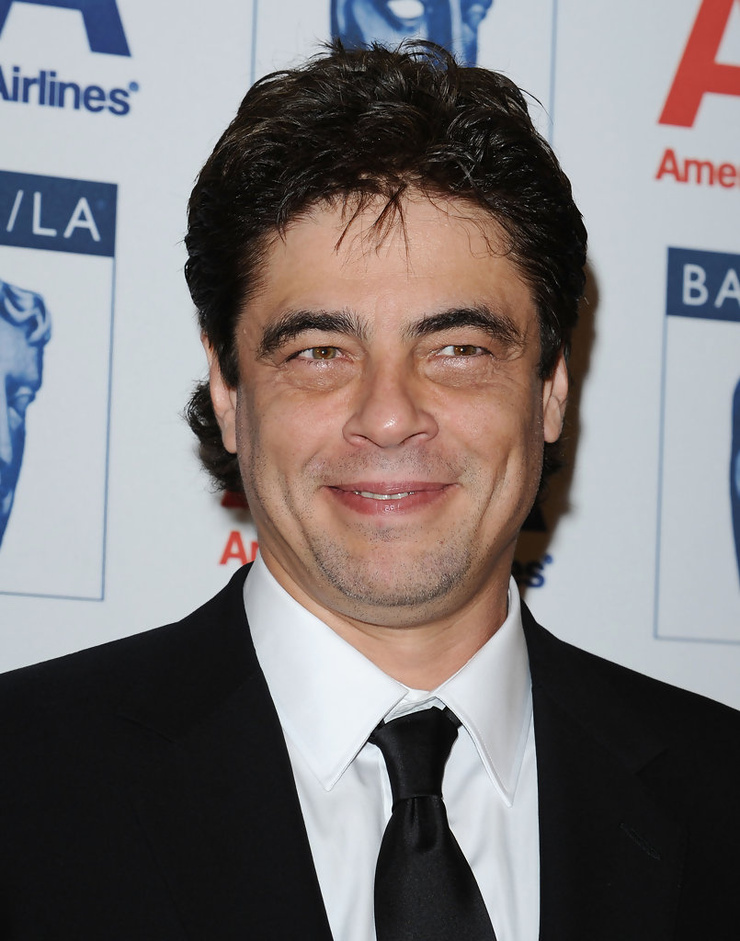 Benicio Del Toro image