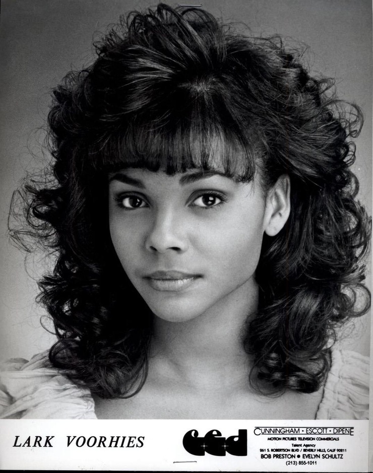 Picture of Lark Voorhies