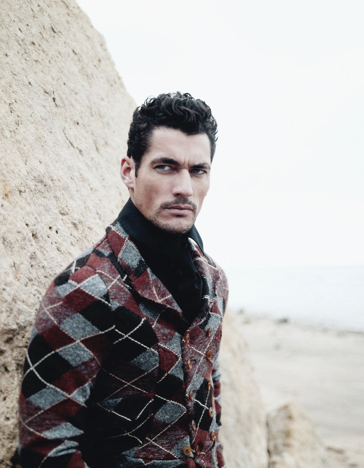 Picture of David Gandy