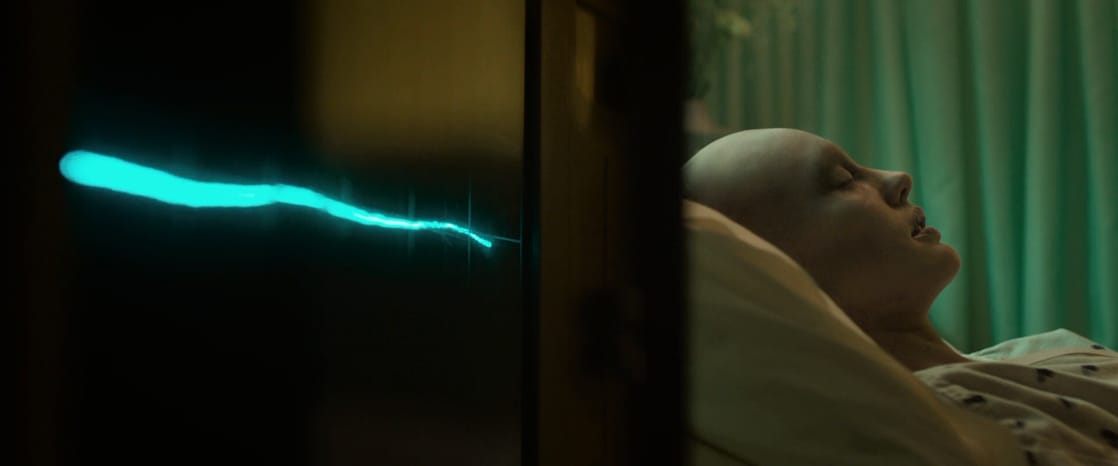 Picture of Meredith Quill