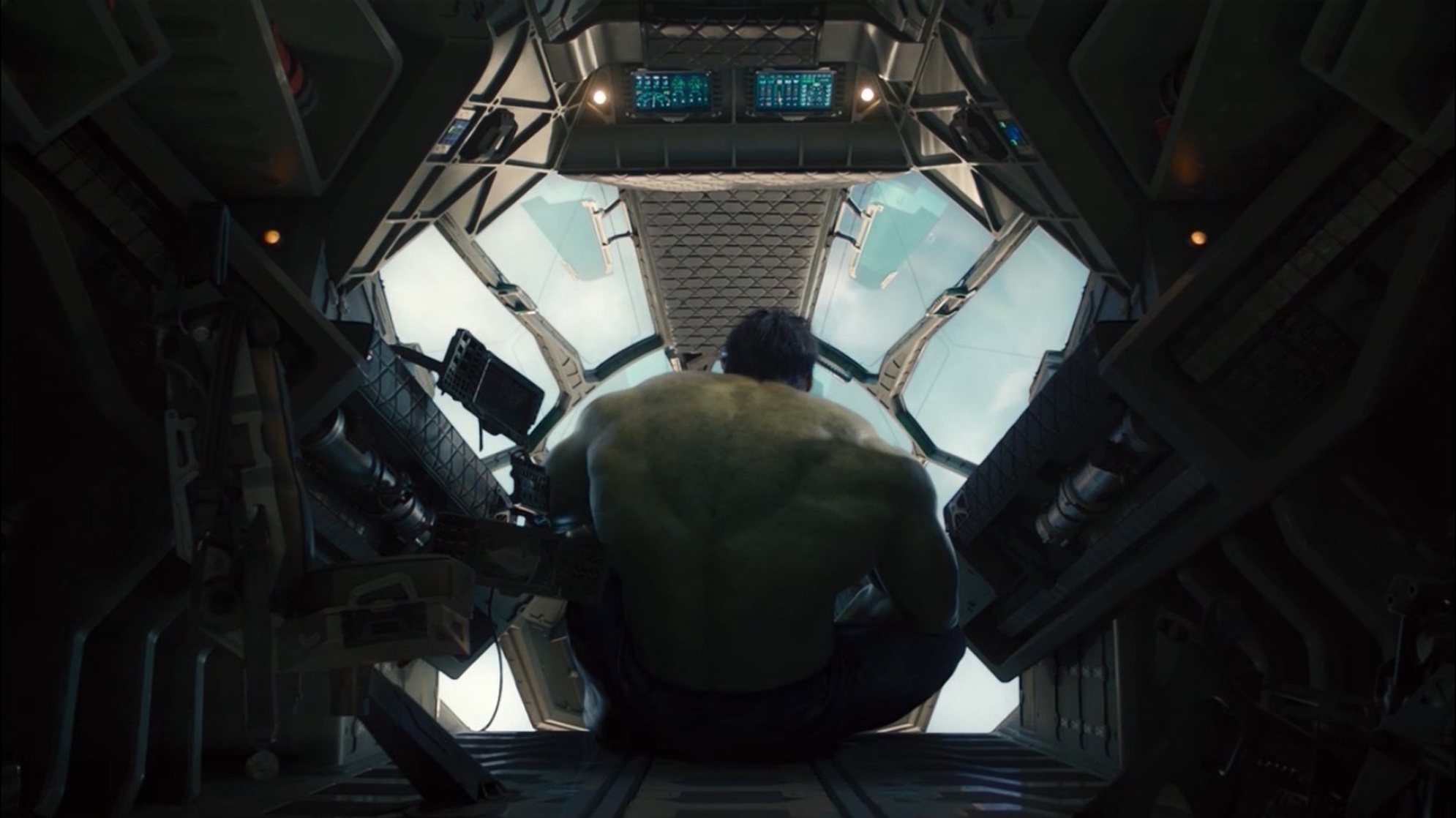 Picture of Bruce Banner / Hulk (Mark Ruffalo)