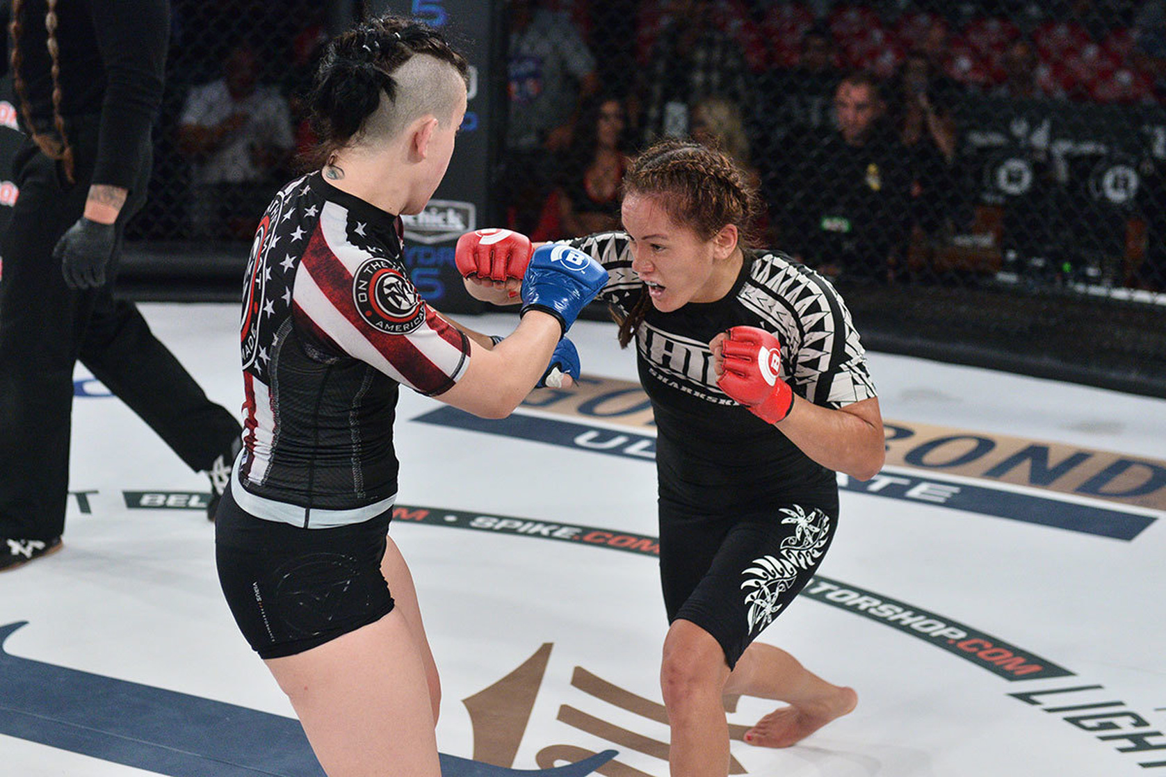 Image of Ilima Macfarlane