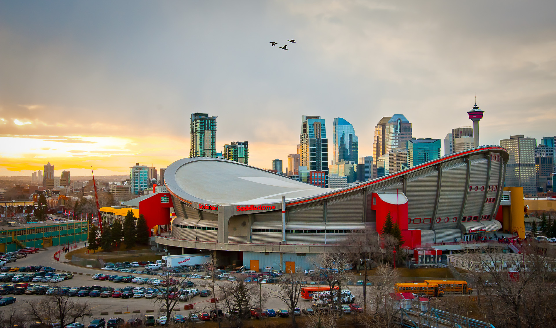 Picture of The Saddledome