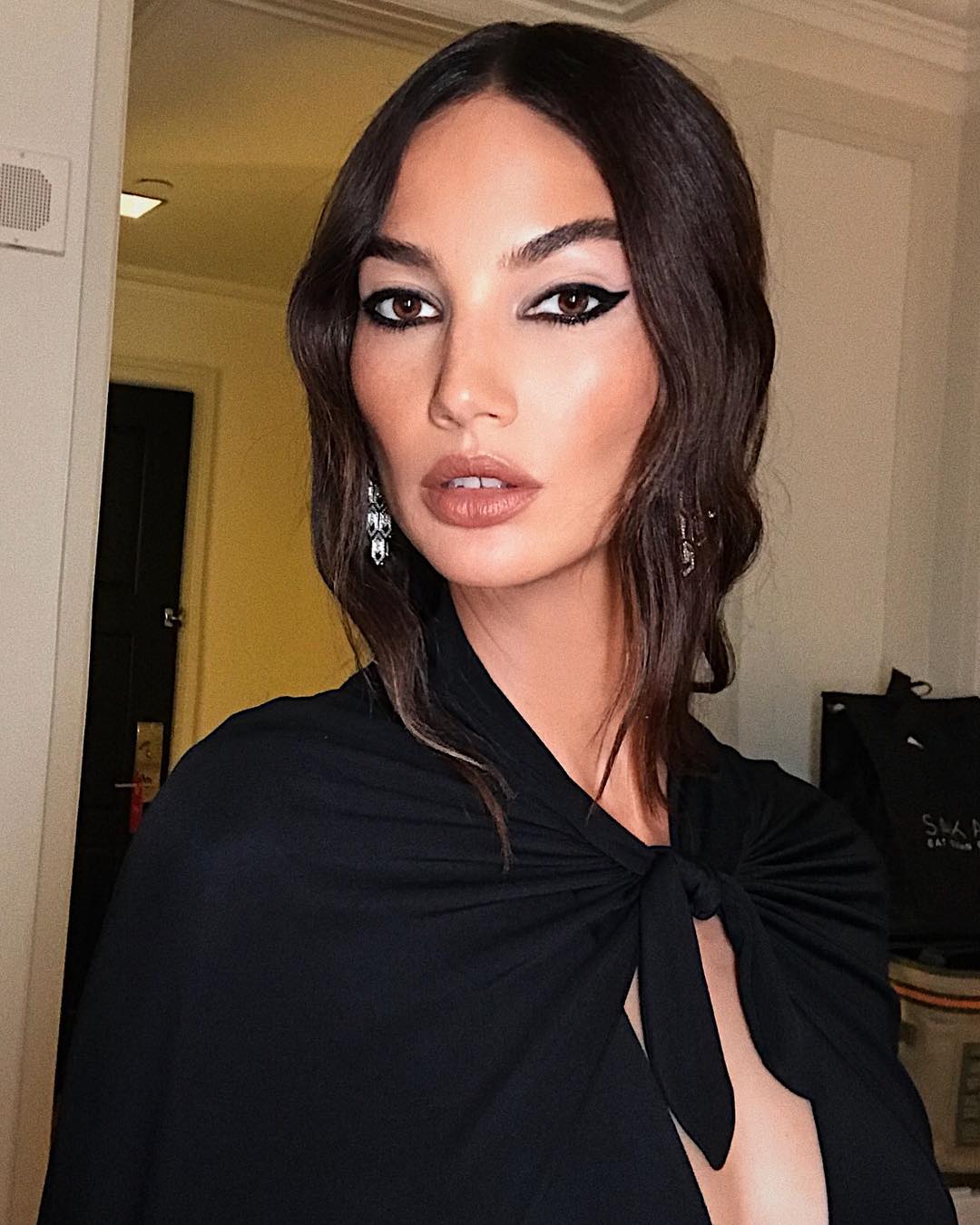 Picture of Lily Aldridge