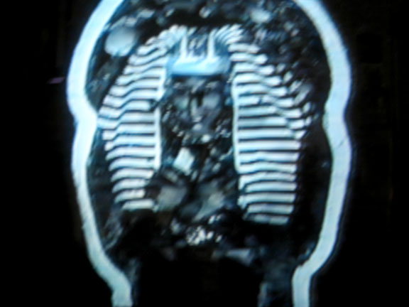 Picture of Luminous Procuress