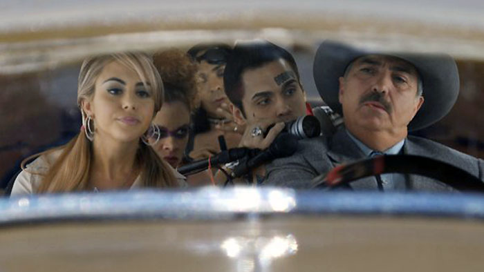 Picture of Repo Chick