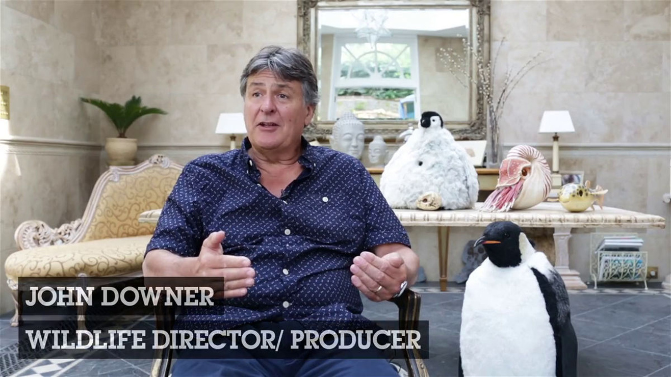 Picture of John Downer