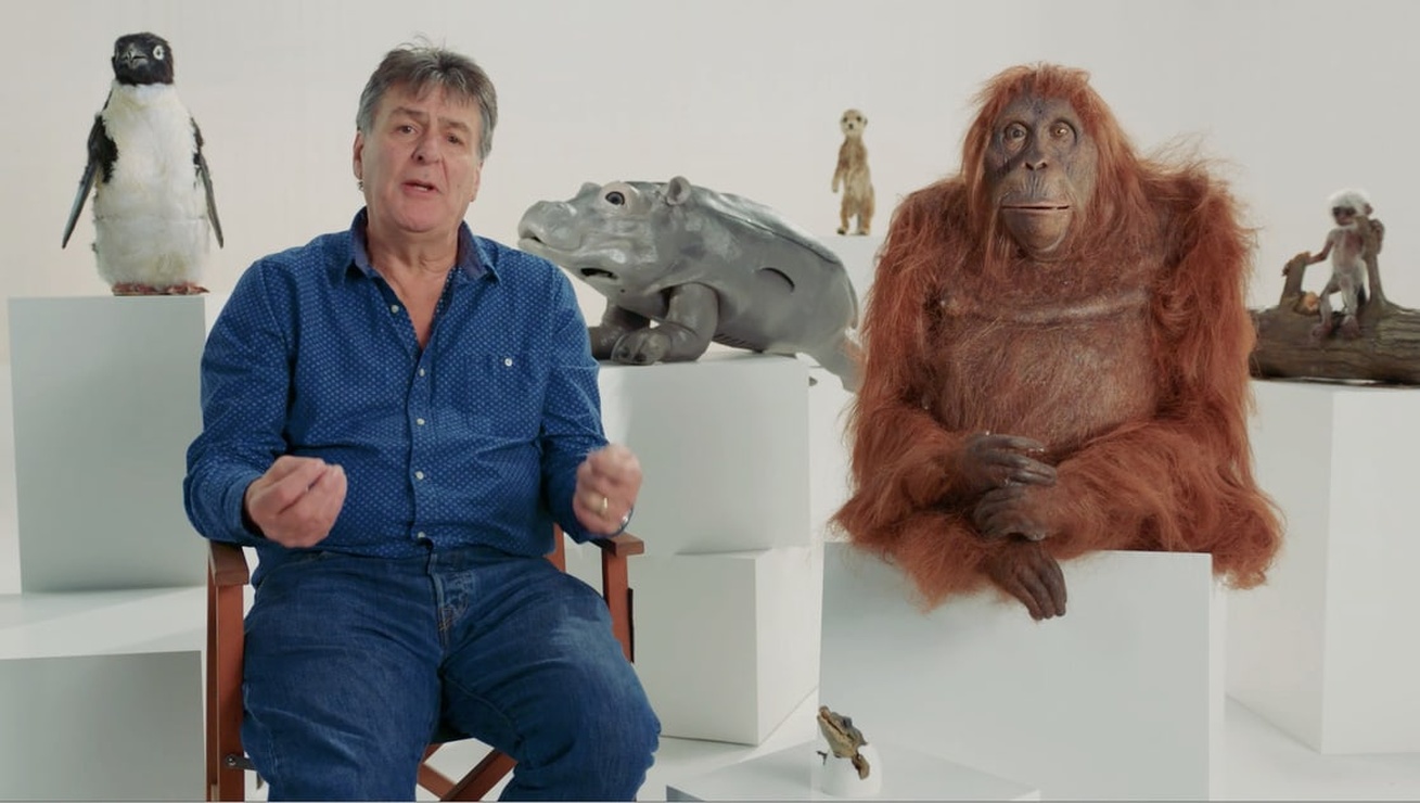 Picture of John Downer