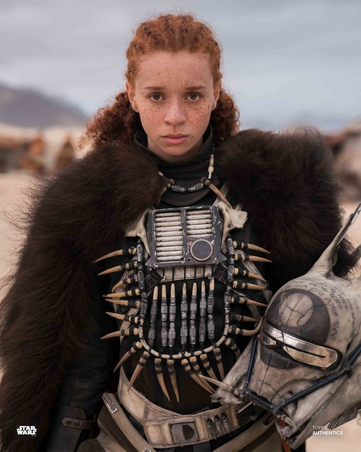 Picture of Enfys Nest