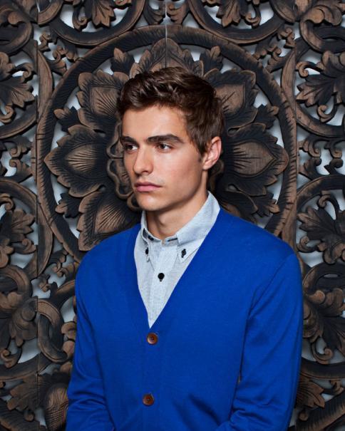 Dave Franco image