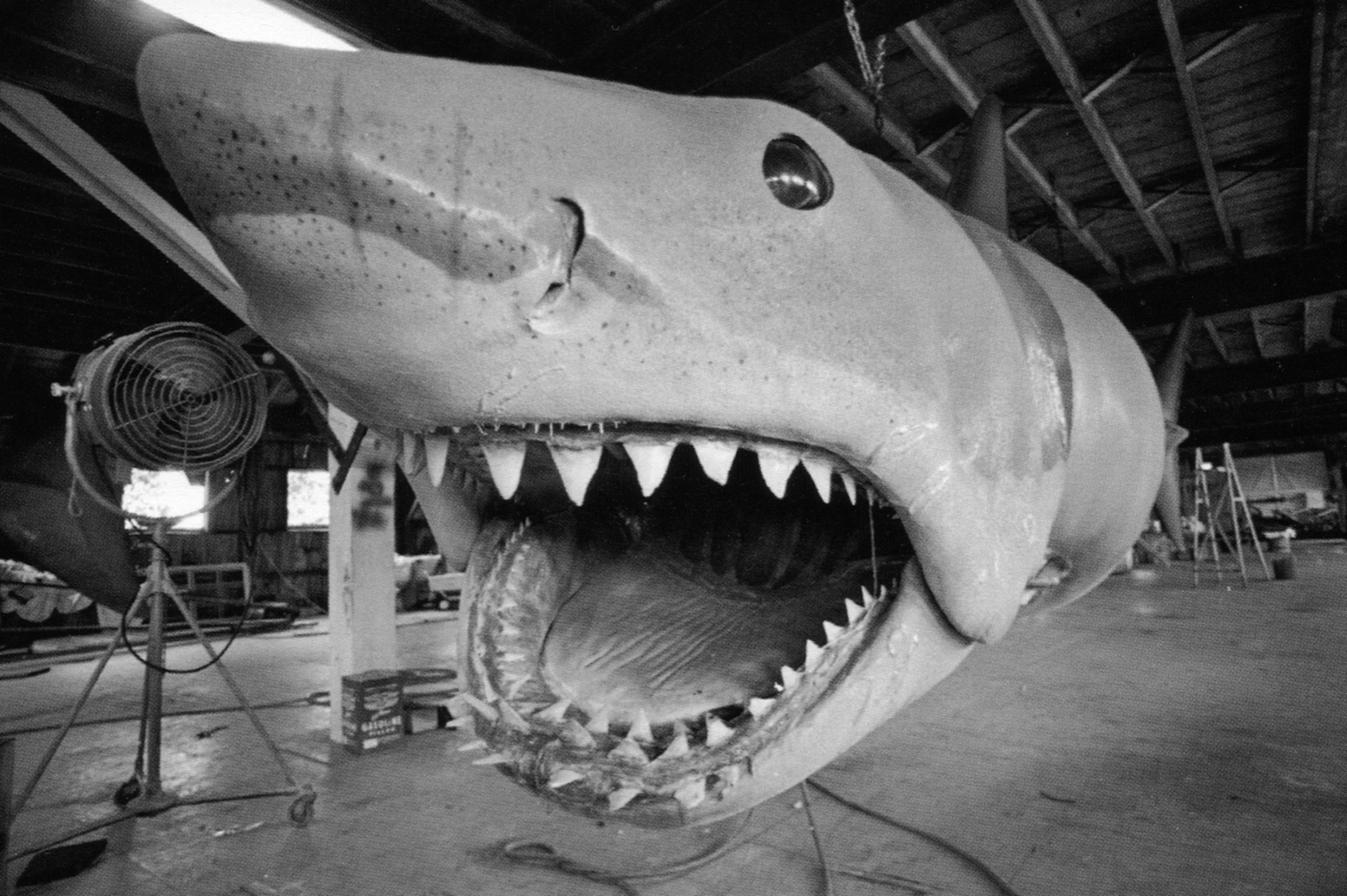 Jaws (1975) image