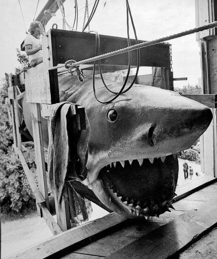 Jaws (1975) picture