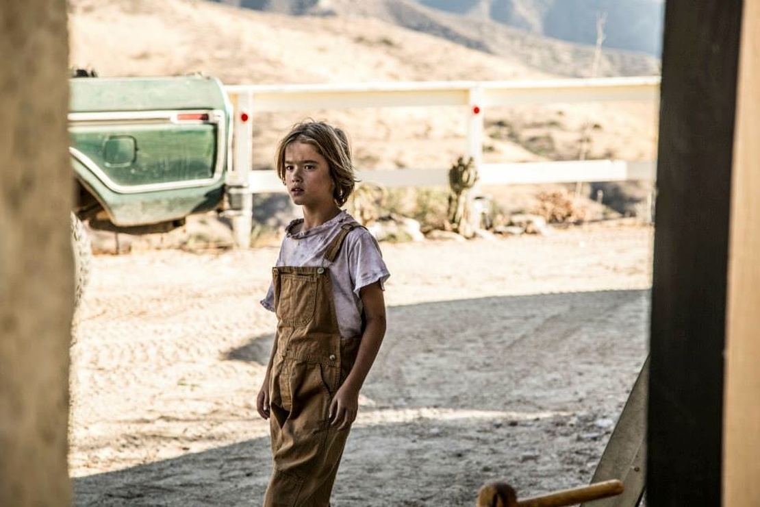 Picture of Fallen Cards