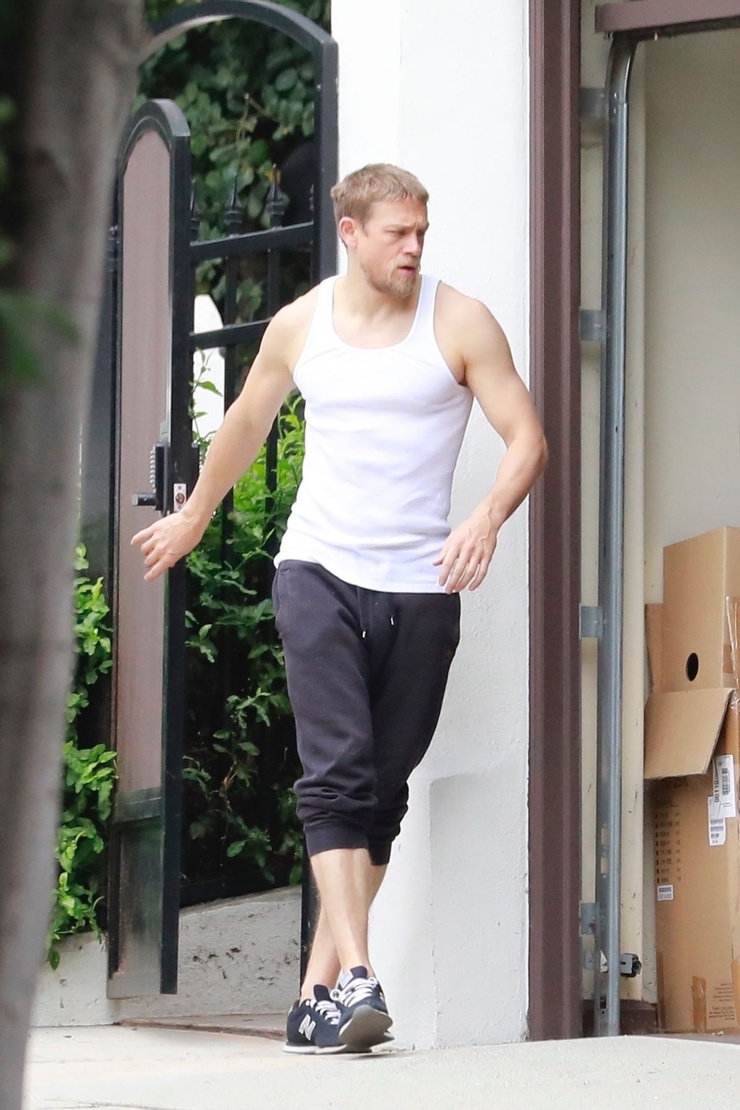 Picture of Charlie Hunnam