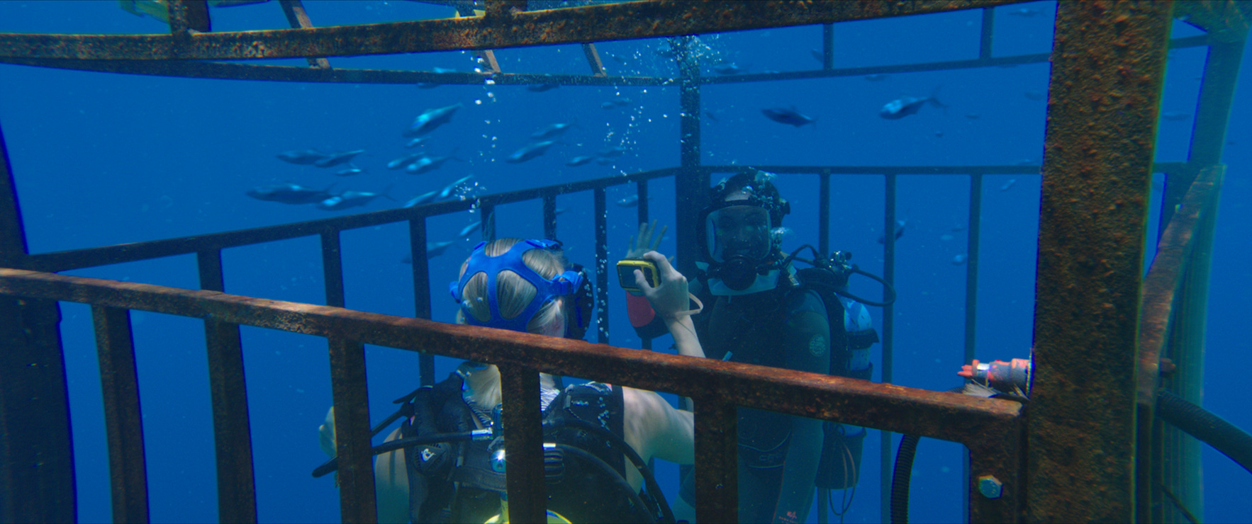 Picture of 47 Meters Down