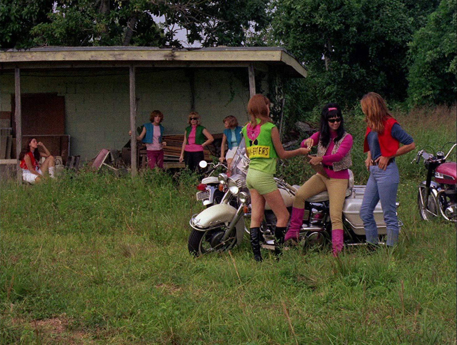 She Devils On Wheels 1968 Image