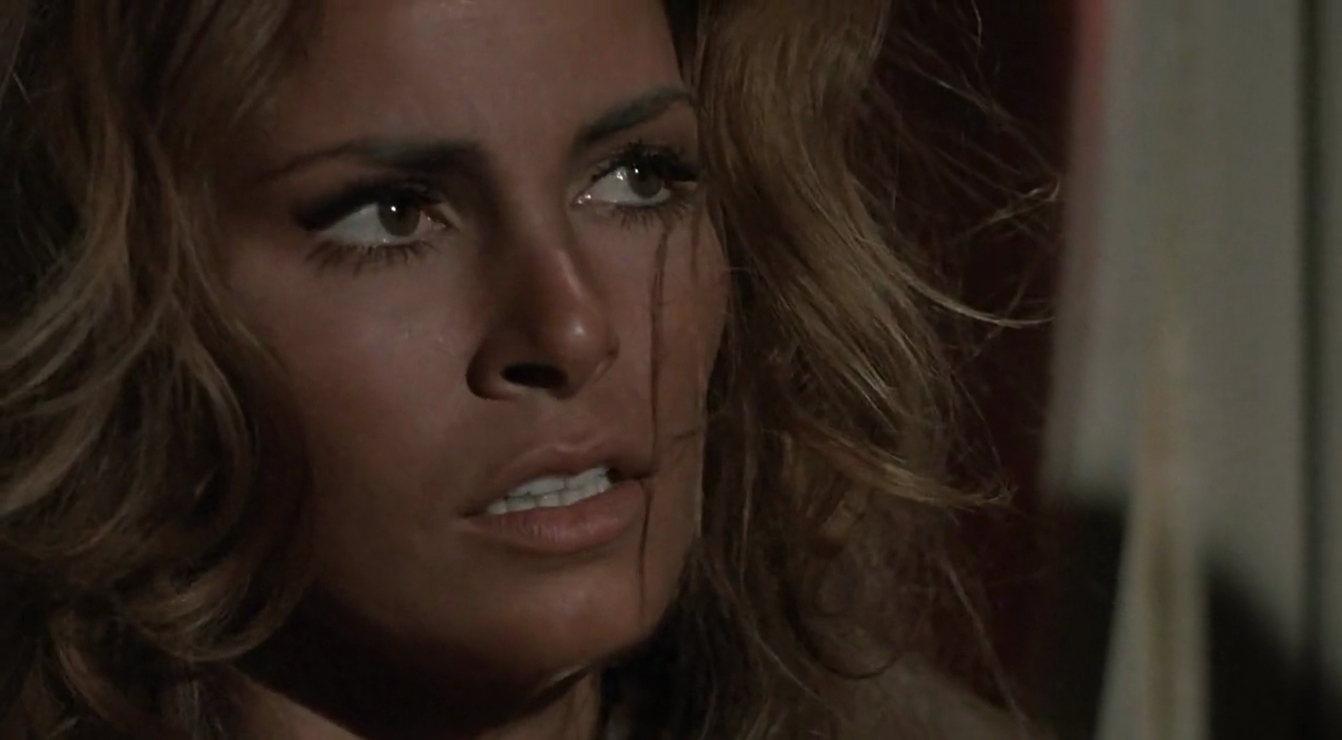 Picture of 100 Rifles