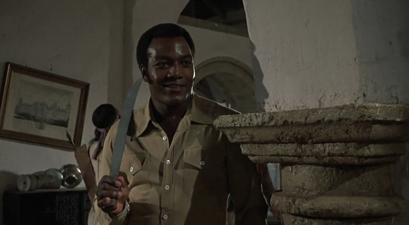 Picture of 100 Rifles