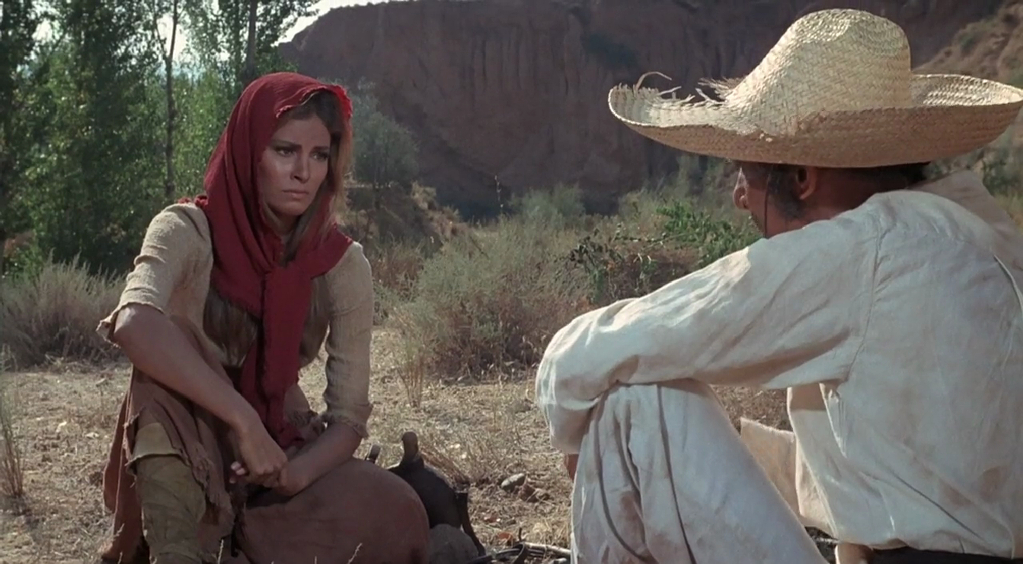 Picture of 100 Rifles