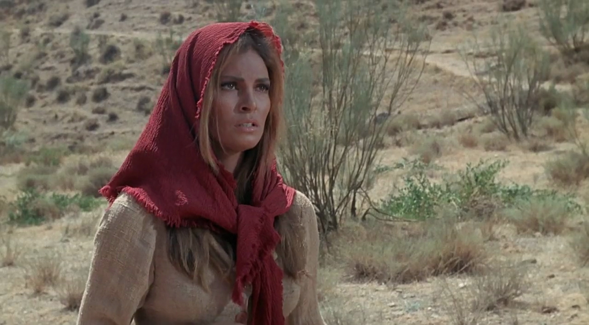 Picture of 100 Rifles