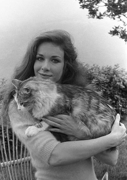 Picture of Mary Crosby