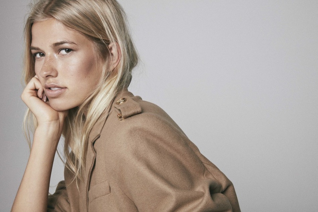 Picture of London Olive