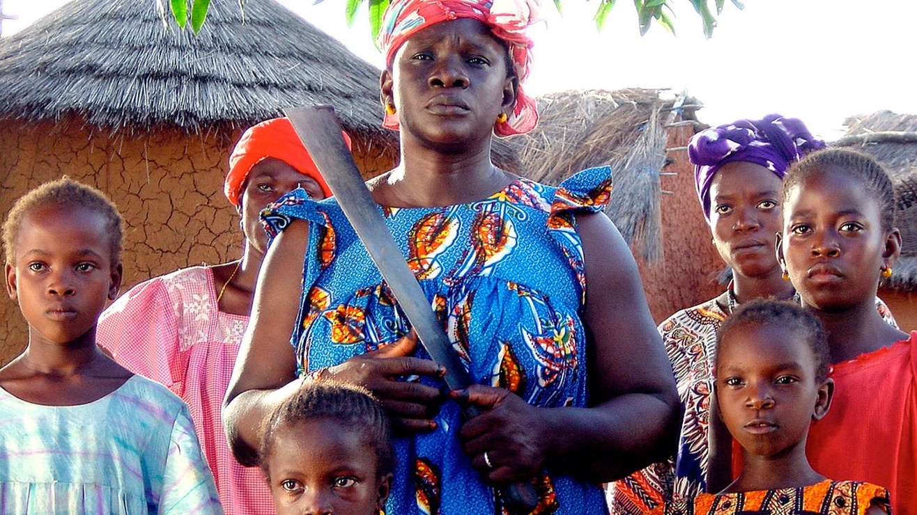 Picture of Moolaadé (2004)