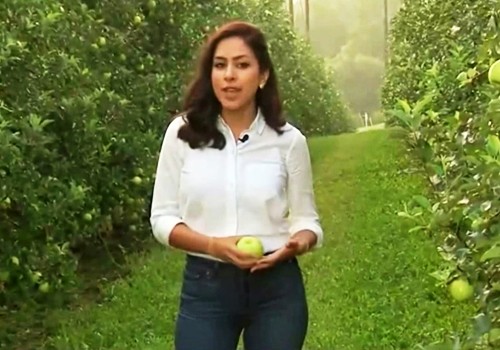 Picture of Seema Mody