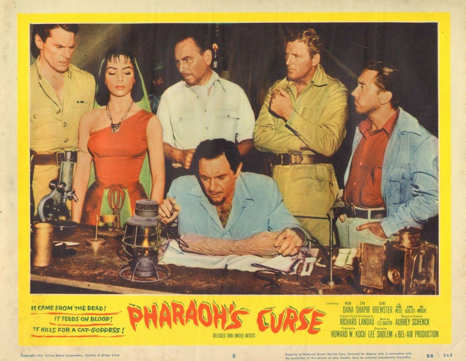 Picture of Pharaoh's Curse