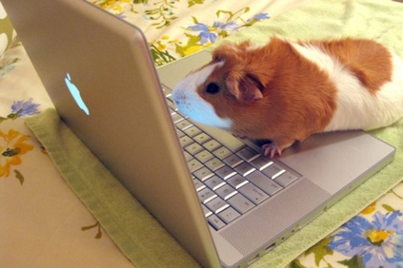 Listal - List the stuff you love! Movies, TV, music, games and books