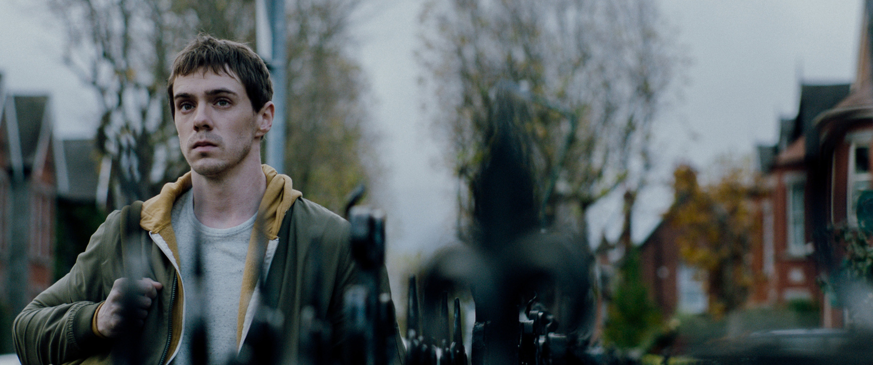 Picture of The Cured (2017)