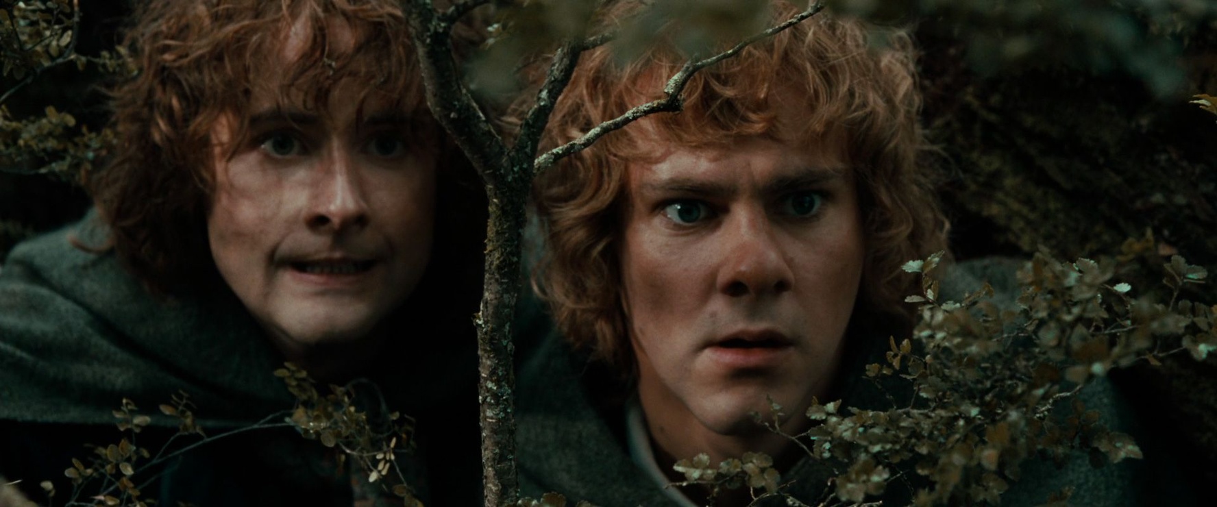 Image of The Lord of the Rings: The Fellowship of the Ring