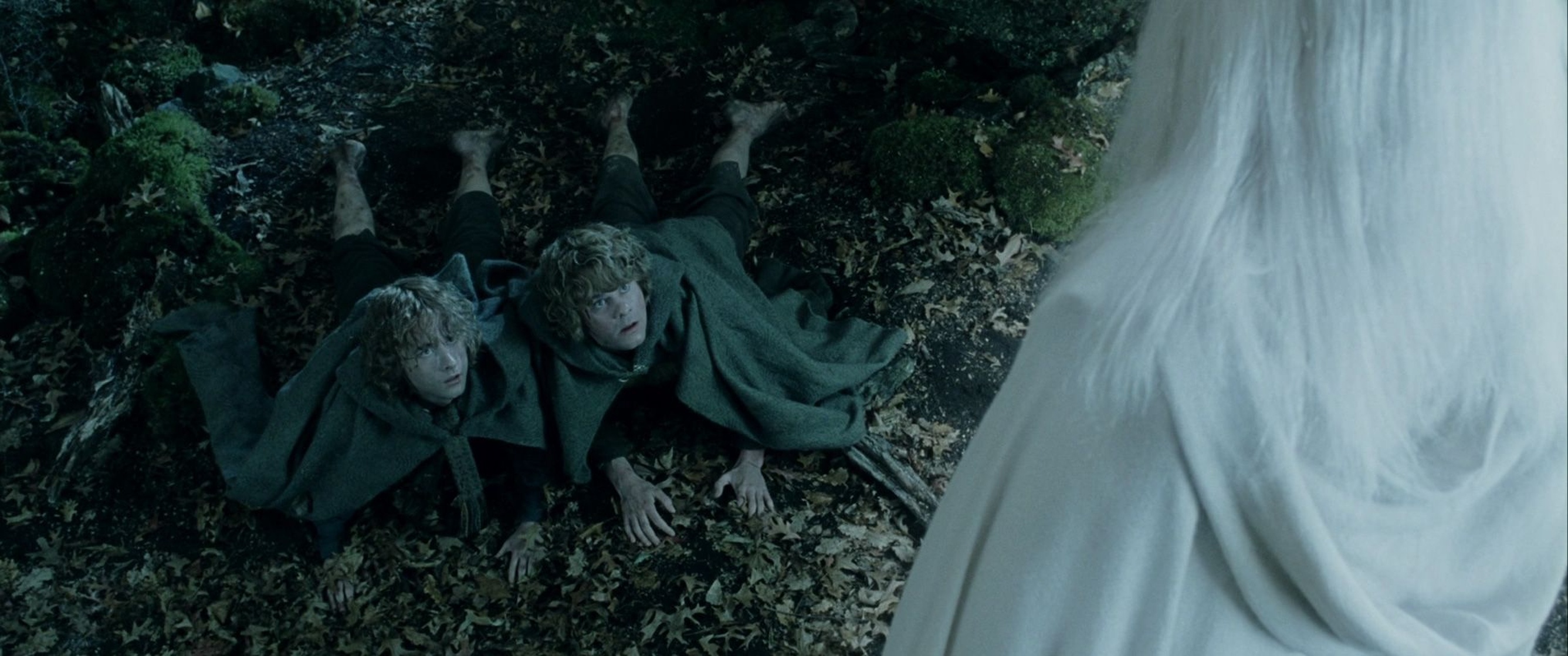 Picture of The Lord of the Rings: The Two Towers