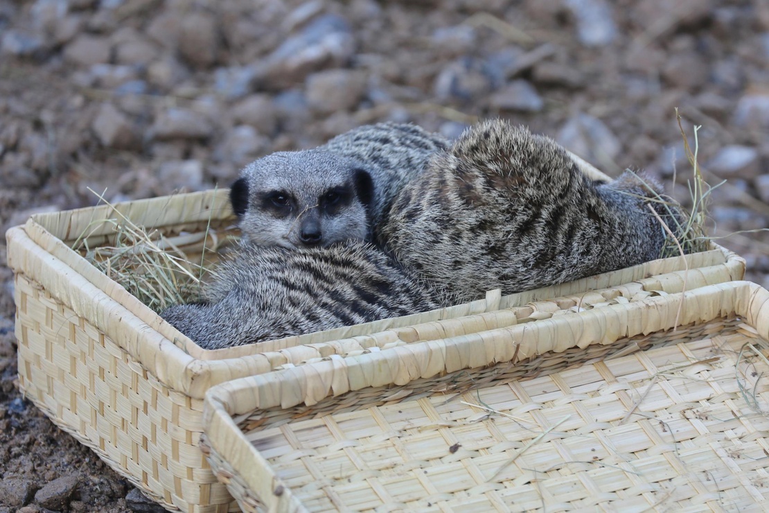 Listal - List the stuff you love! Movies, TV, music, games and books