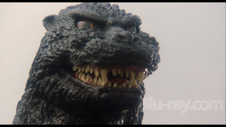 Picture of Godzilla and Mothra: The Battle for Earth