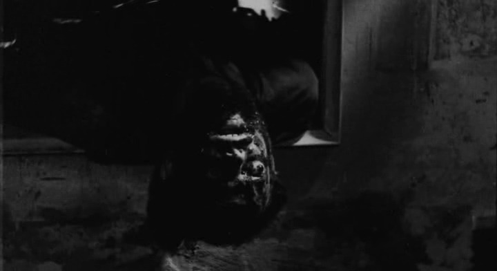 Image of This Night I'll Possess Your Corpse