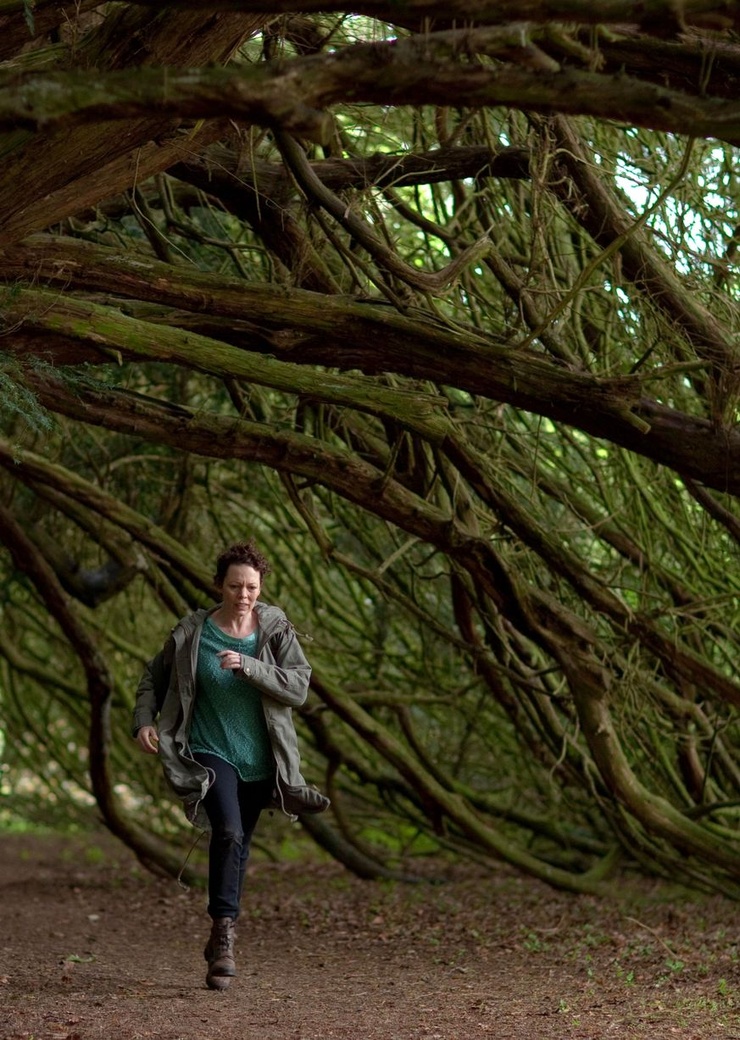 Picture of The Thirteenth Tale