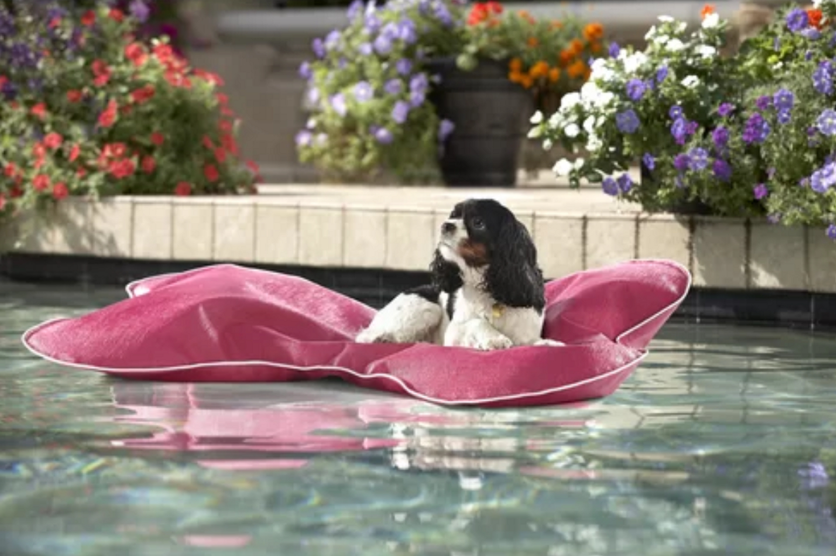 Listal - List the stuff you love! Movies, TV, music, games and books