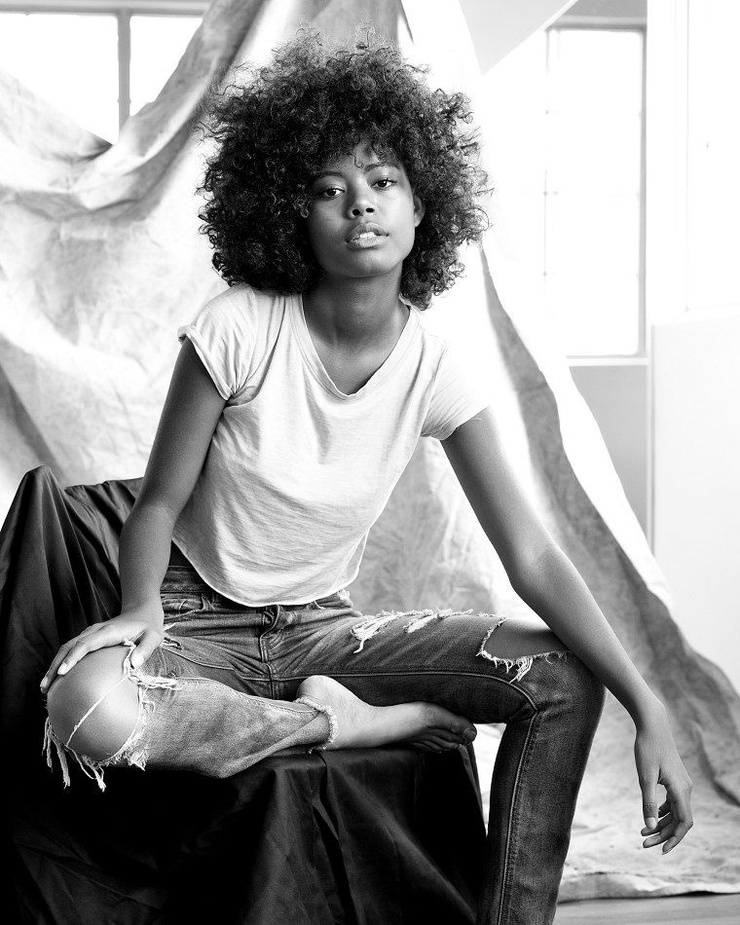 Picture of Nereyda Bird