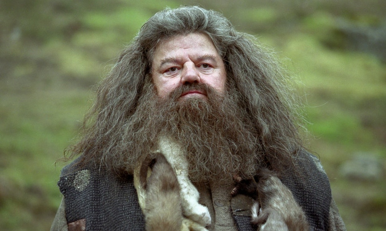 Picture of Rubeus Hagrid