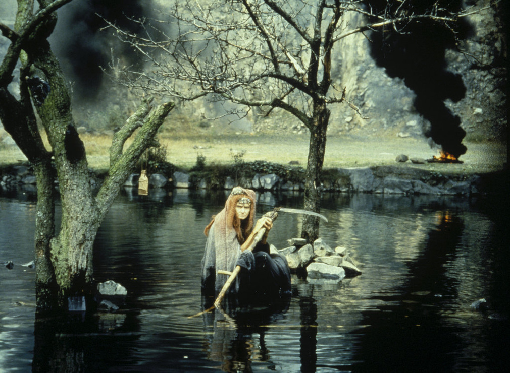 Image of The Feather Fairy