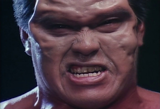 Lady Battle Cop picture