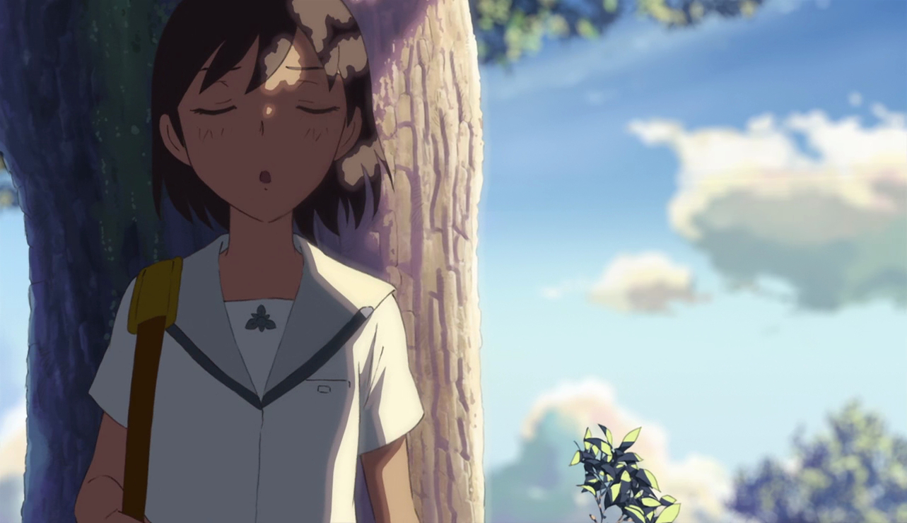 5 Centimeters Per Second image