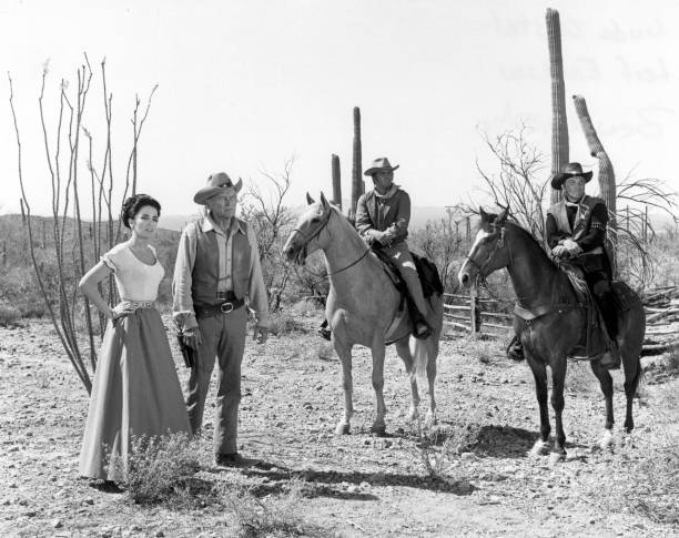 Picture of The High Chaparral