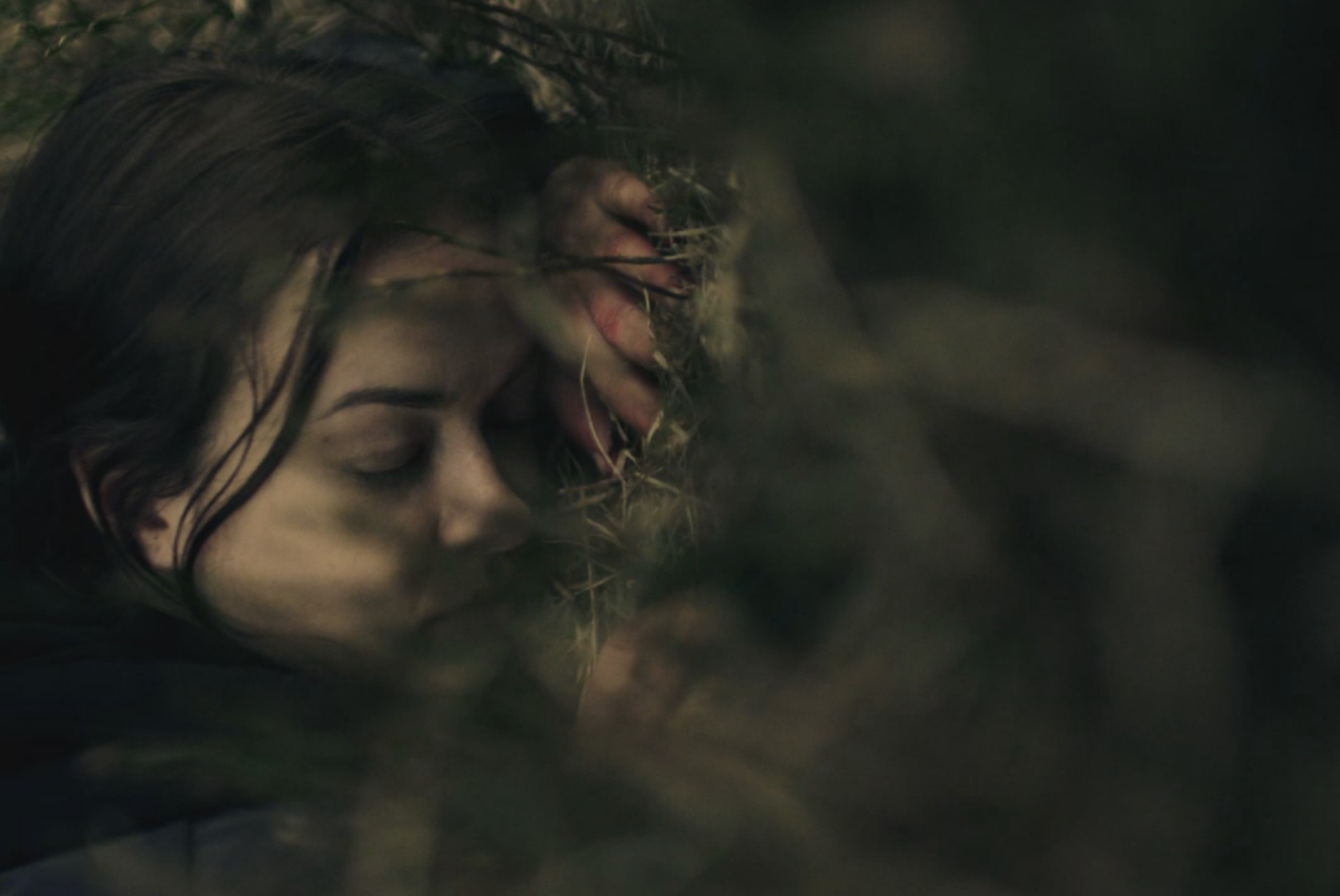 Picture of Treibjagd